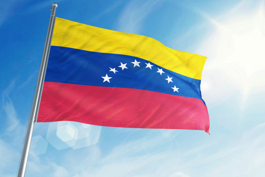 Sovereignty Under Strain: Venezuela's Crisis and Canada's Policy ...